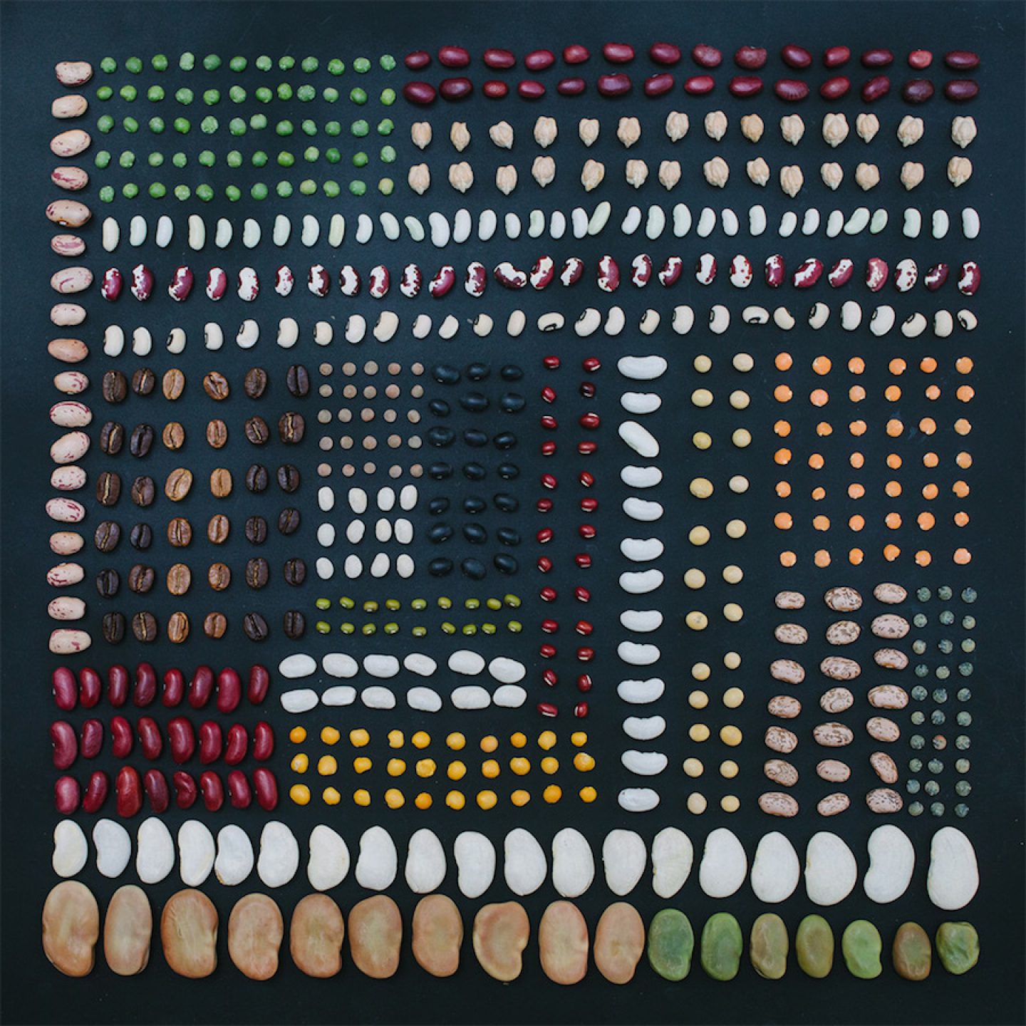 Color-coded photography by Emily Blincoe - IGNANT