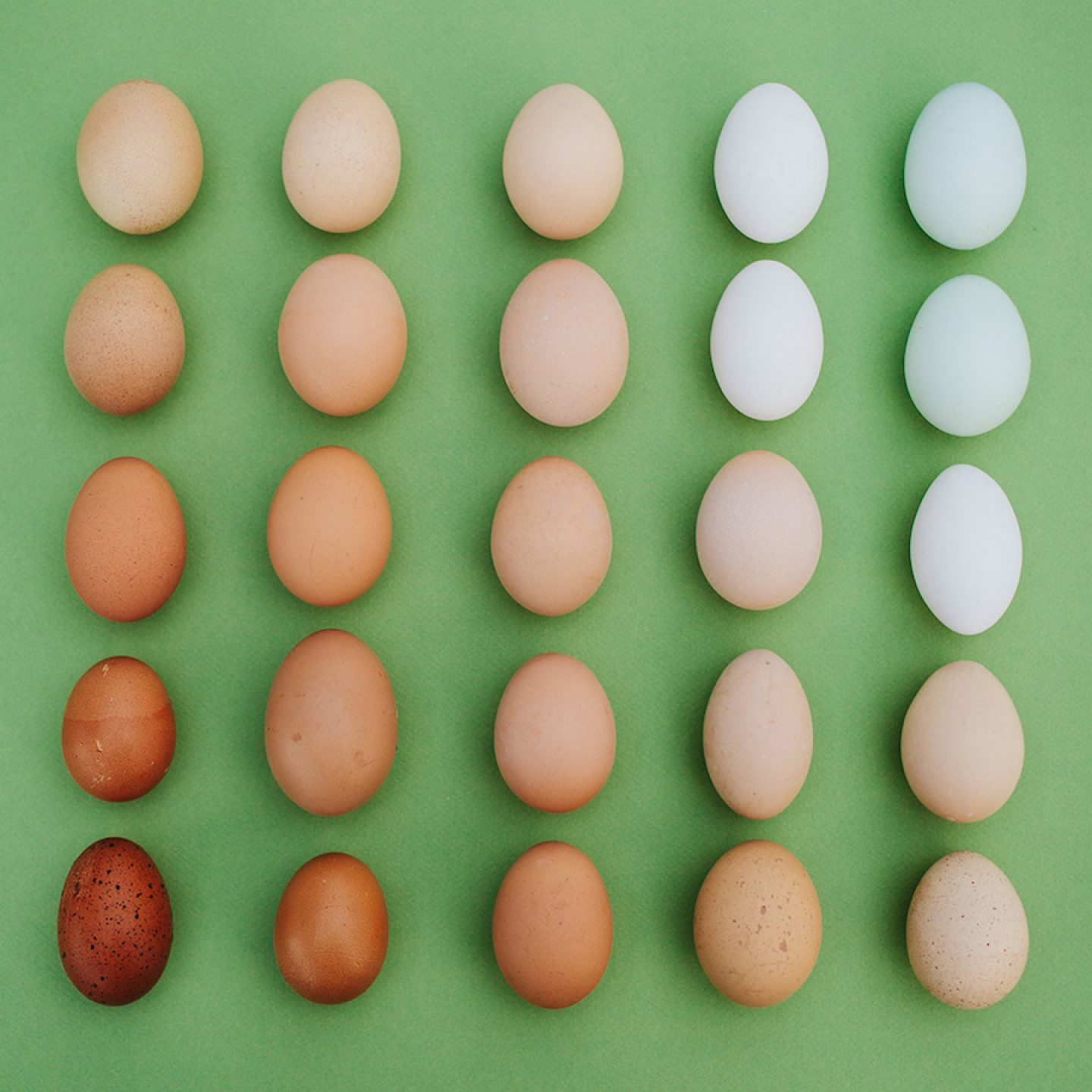 Color-coded photography by Emily Blincoe - IGNANT