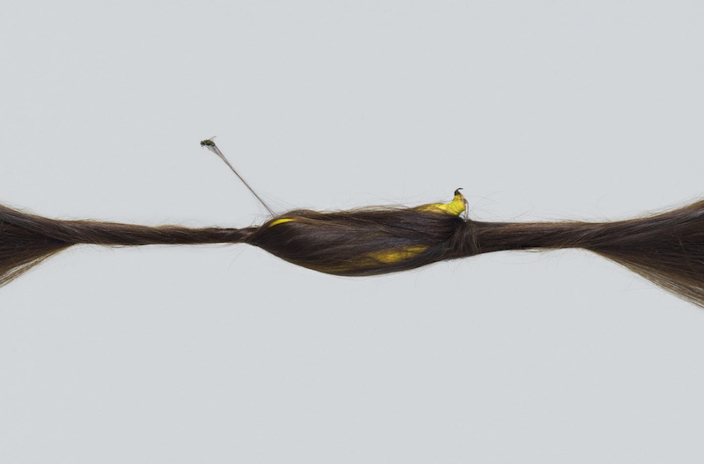 Disturbing Photography By Yung Cheng Lin - IGNANT