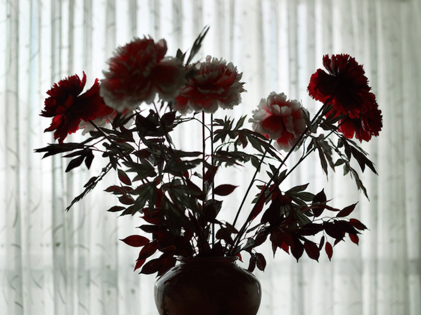 Days With My Father by Phillip Toledano - IGNANT