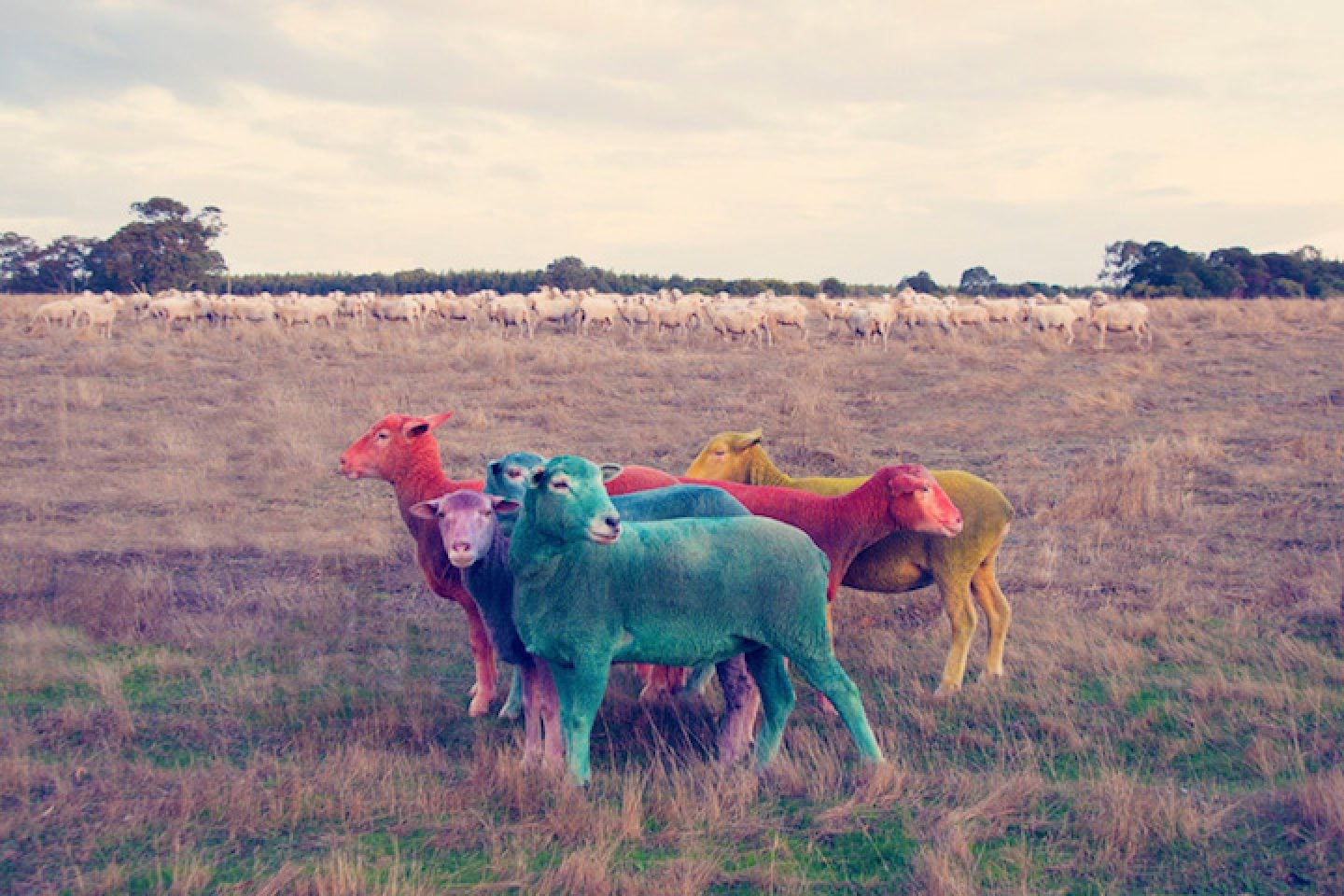 Dream by Gray Malin - IGNANT