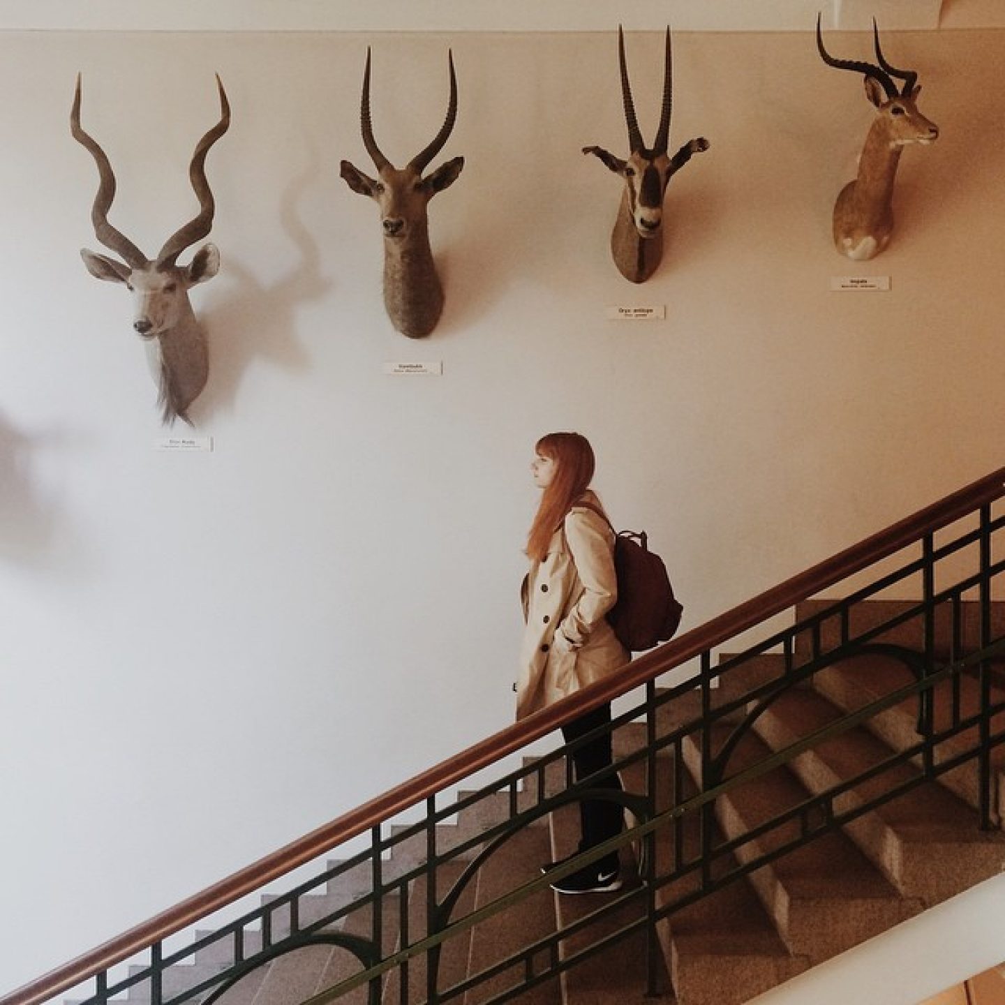 Insta Fav #94: Adrián Cano - IGNANT