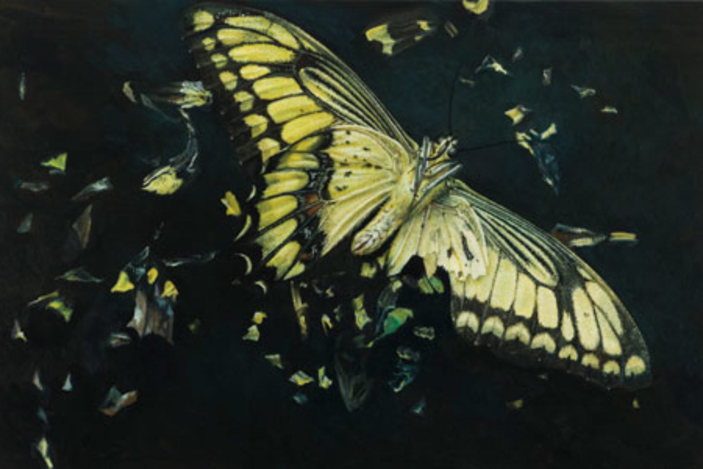 Surreal Paintings By Moki Mioke - IGNANT