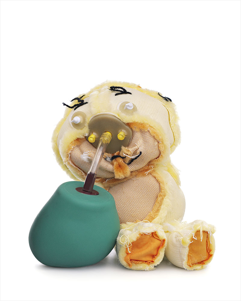 Bears By Kent Rogowski - IGNANT