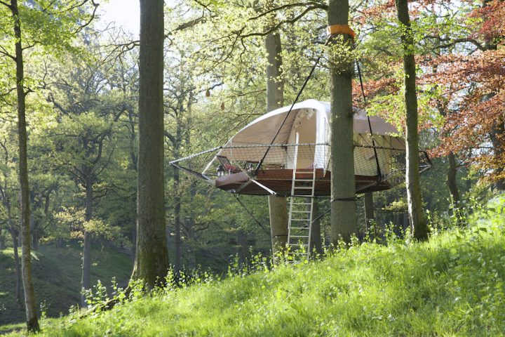 Dom'Up Tree House - IGNANT