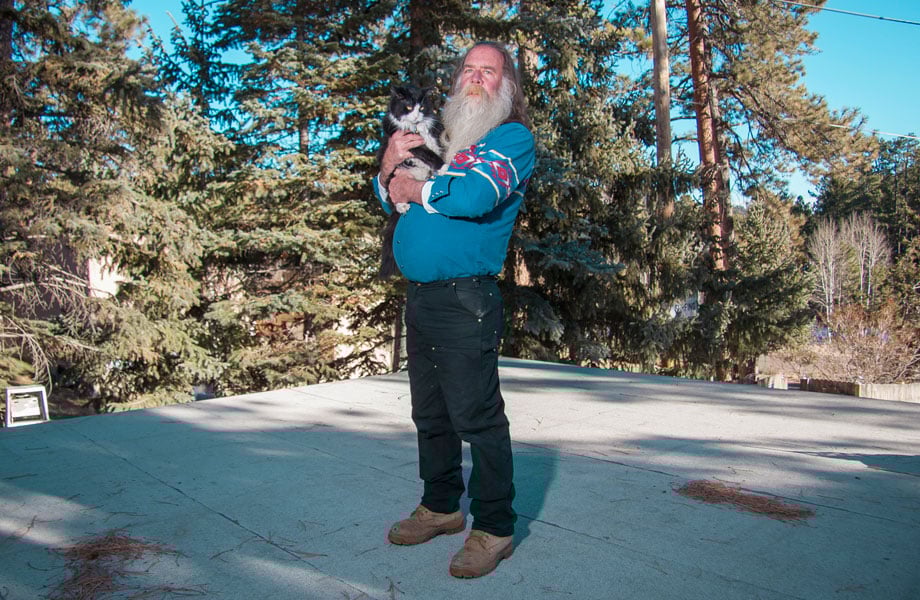 Photographer David Williams Breaks The 'Crazy Cat Lady' Stereotype - IGNANT