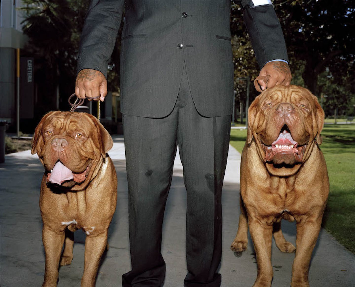 'In Dogs We Trust' Captures Dog Owners And Their Pets - IGNANT