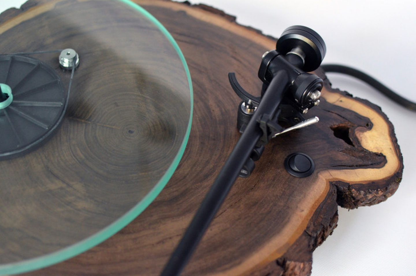 Turntables made from real Tree Trunks - IGNANT