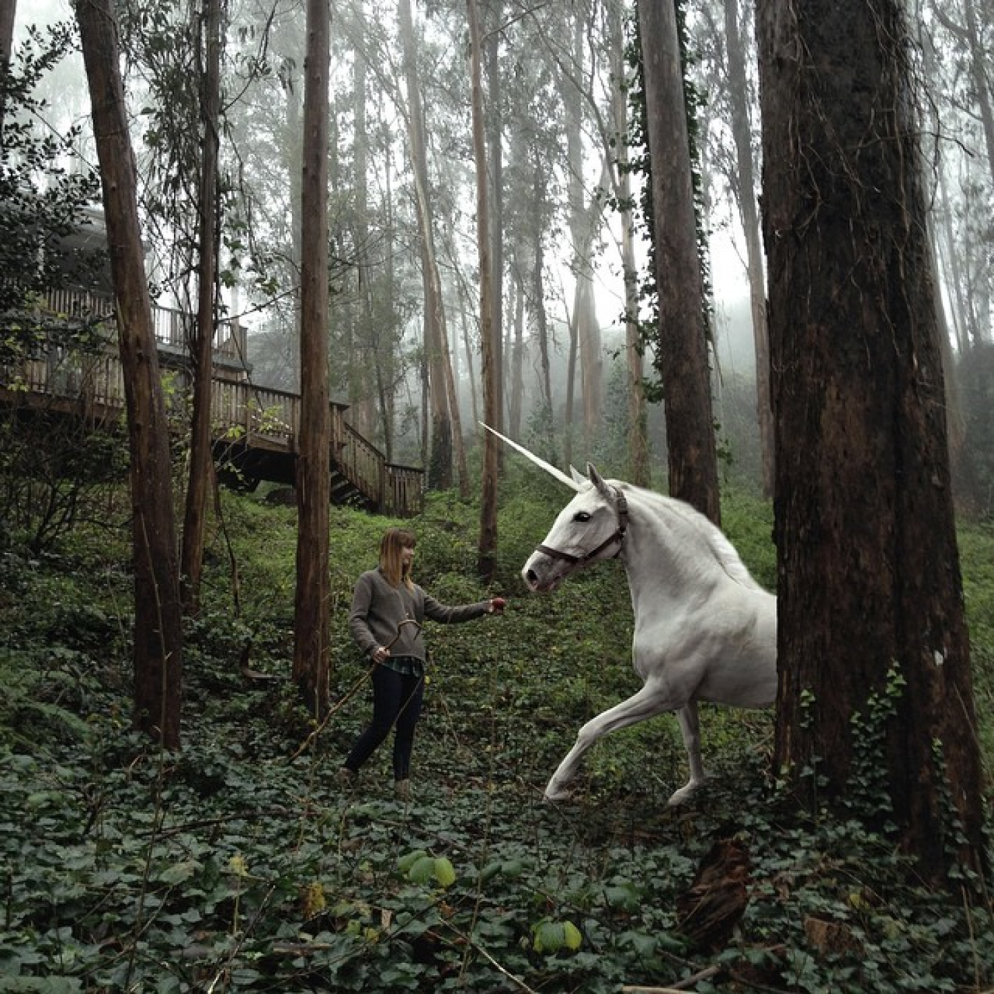 Mesmerizing Photo Manipulations by Ted Chin - IGNANT