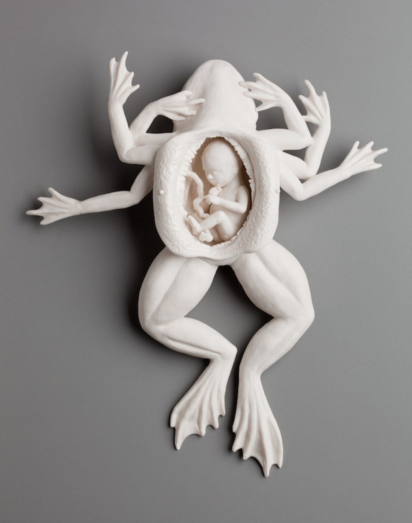 Handmade Porcelain Sculptures by Kate MacDowell - IGNANT