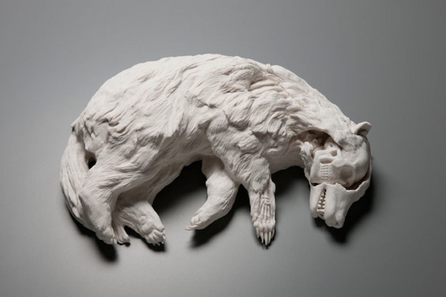 Handmade Porcelain Sculptures by Kate MacDowell - IGNANT