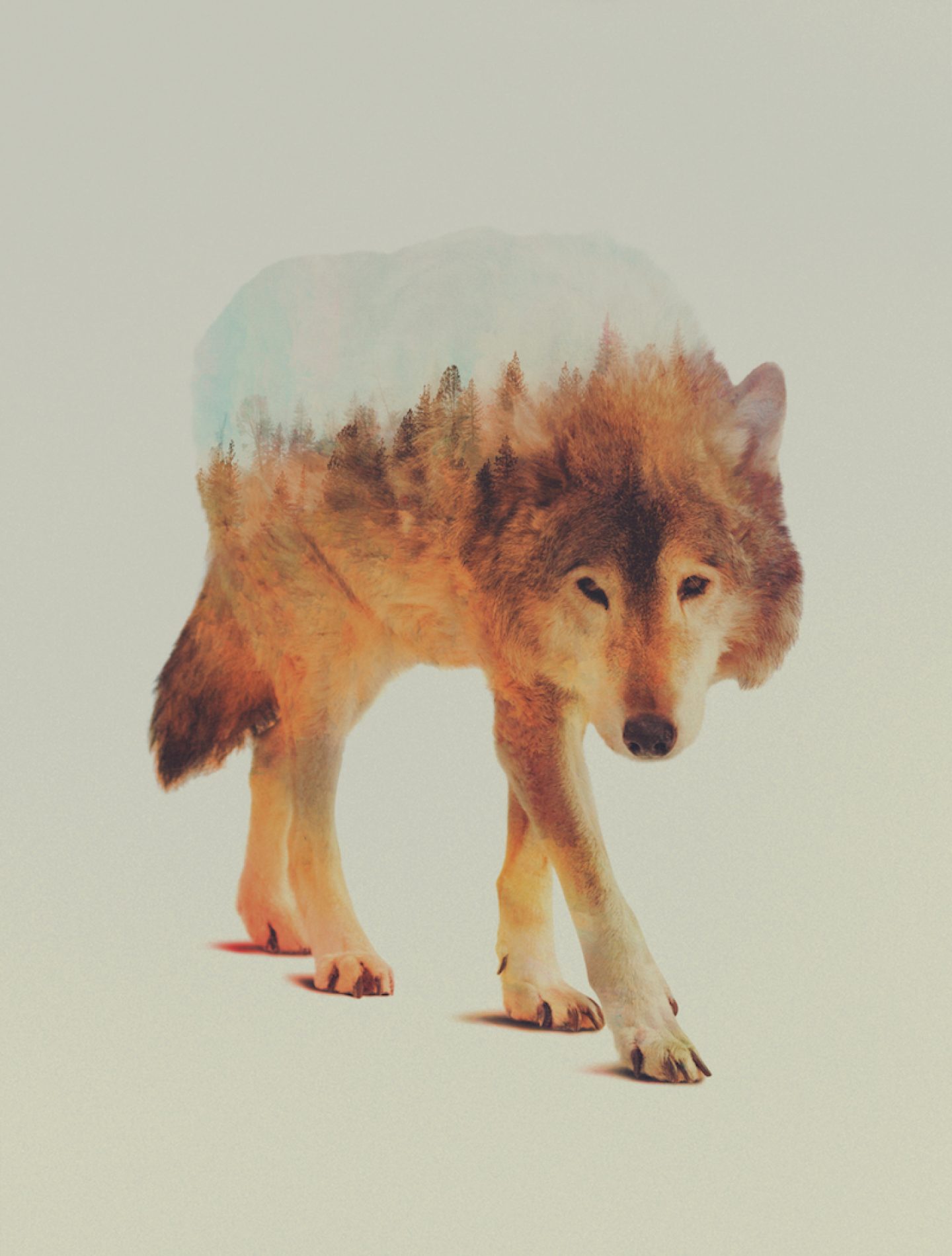 Double Exposure Animal Portraits By Andreas Lie - IGNANT