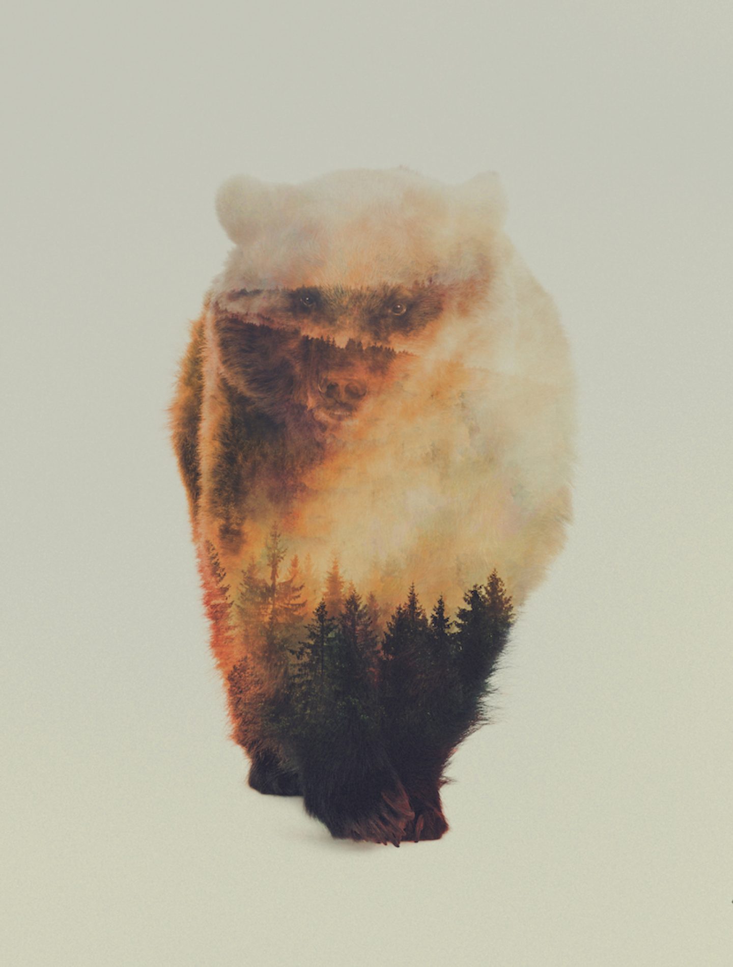 Double Exposure Animal Portraits By Andreas Lie - IGNANT
