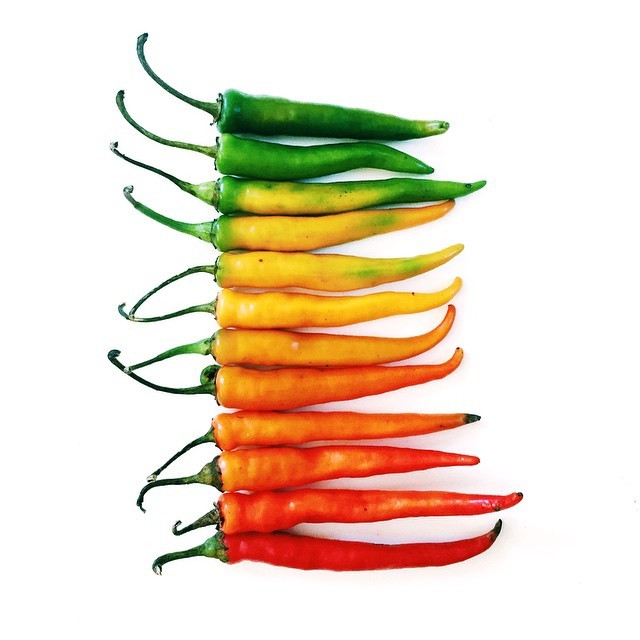 Gradient Food Photography By Brittany Wright - IGNANT