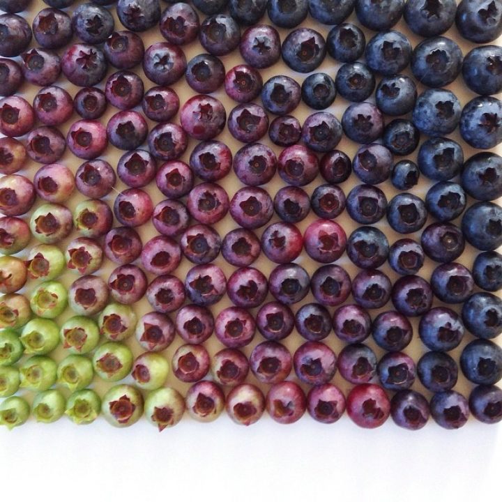 Gradient Food Photography By Brittany Wright - IGNANT