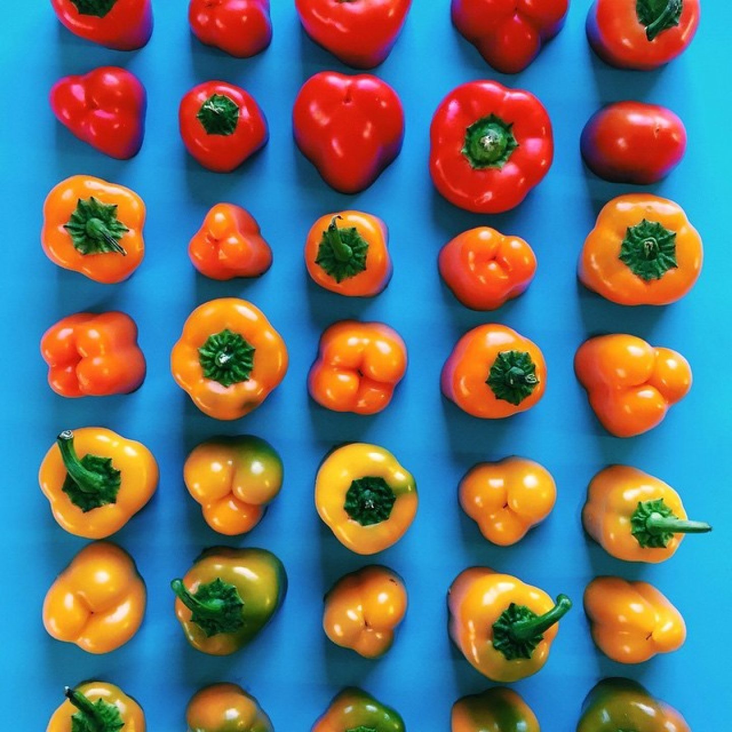 Gradient Food Photography By Brittany Wright - IGNANT