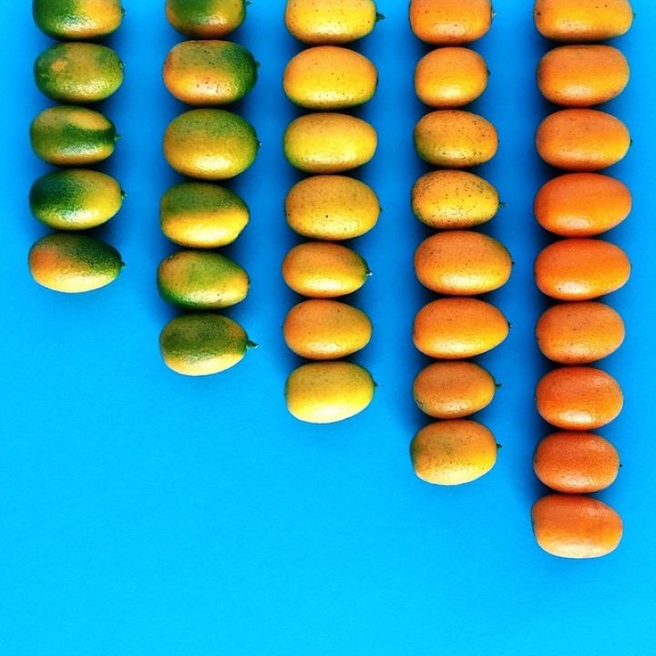 Gradient Food Photography By Brittany Wright - IGNANT