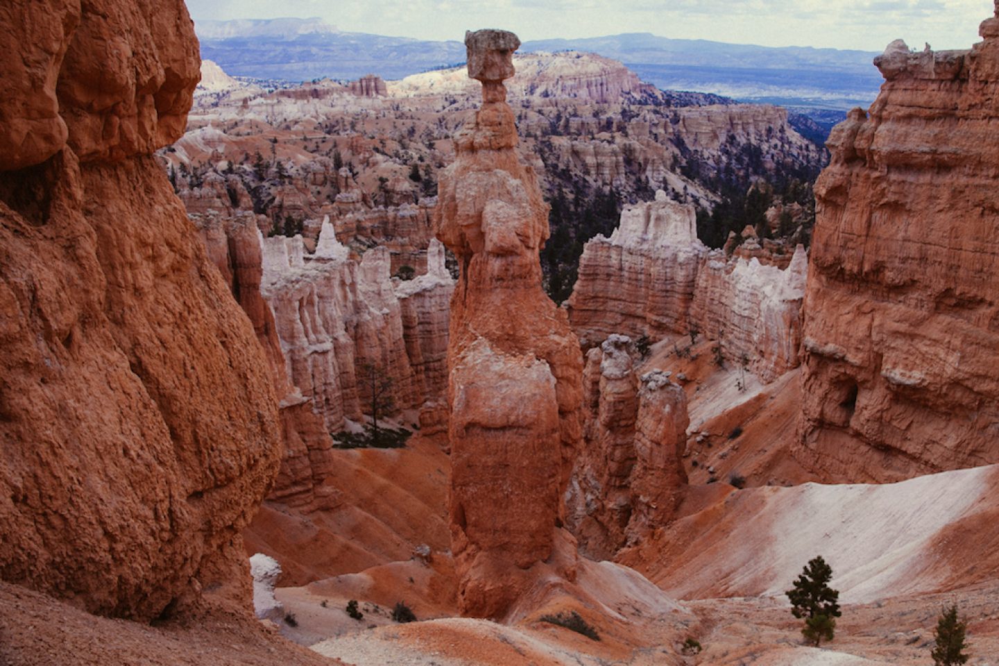 On a Trip Through America's Southwest With Photographer Matt Lief ...