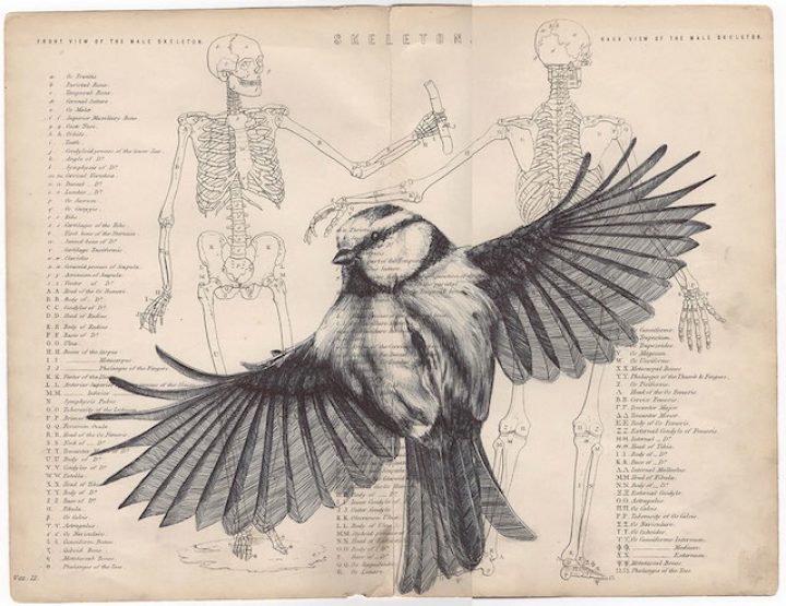 Mark Powell Uses Old Documents And Magazines As His Drawing Surface ...