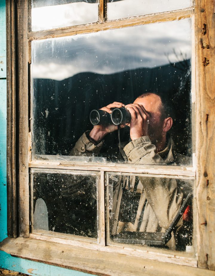 Kevin Faingnaert Creates Strong Portraits Of People Living In Harmony ...