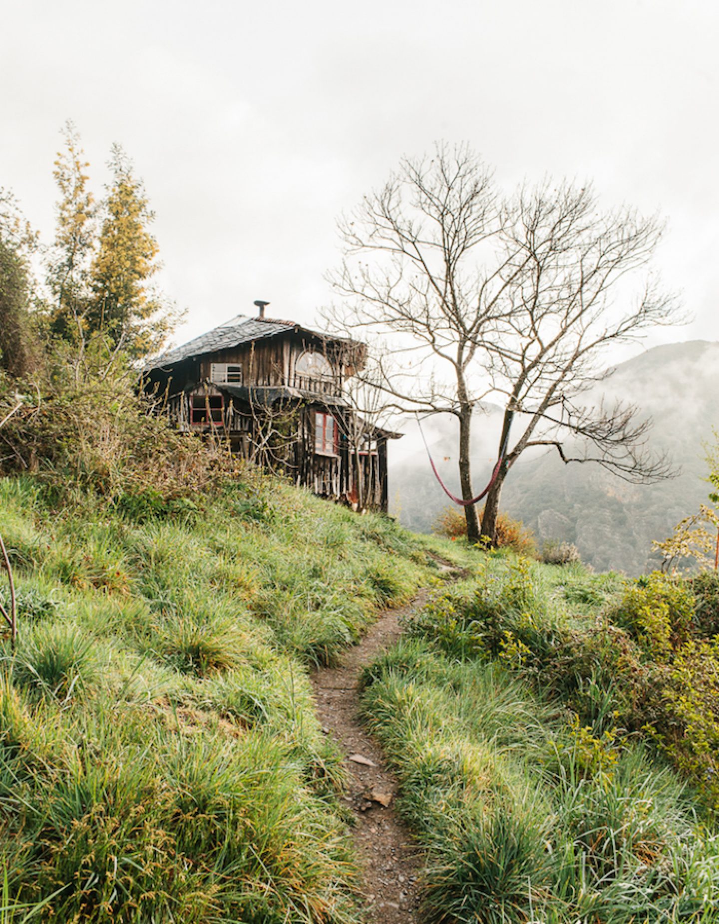 Kevin Faingnaert Creates Strong Portraits Of People Living In Harmony ...
