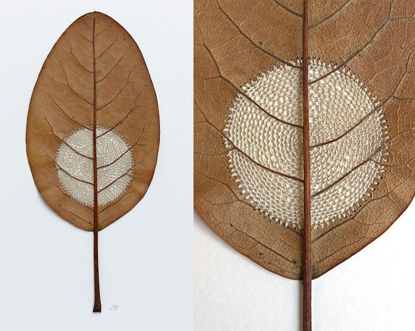 Crocheted Leaf Art By Susanna Bauer - IGNANT