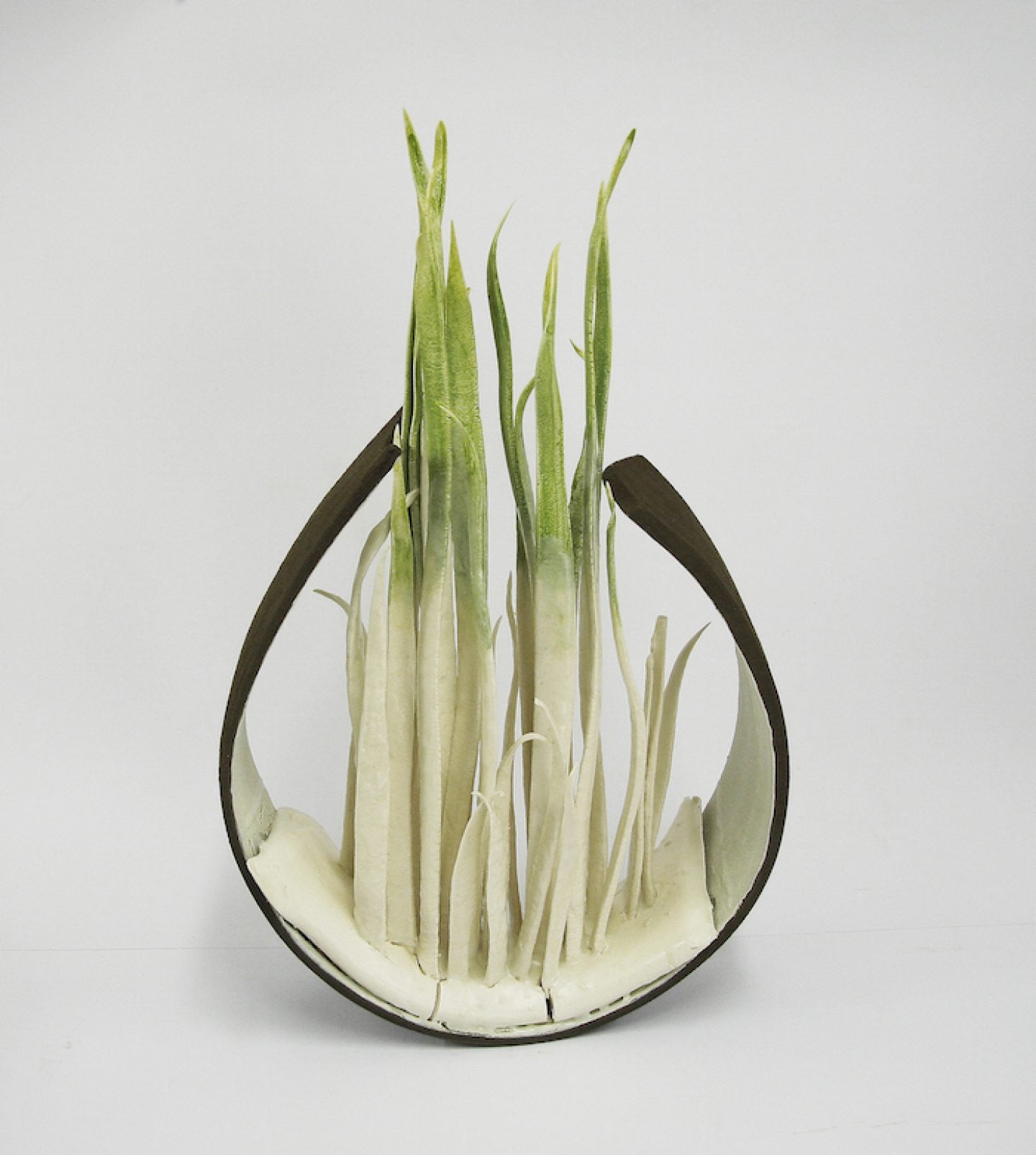 Alberto Bustos Creates Delicate Grass Sculptures Made of Ceramic - IGNANT