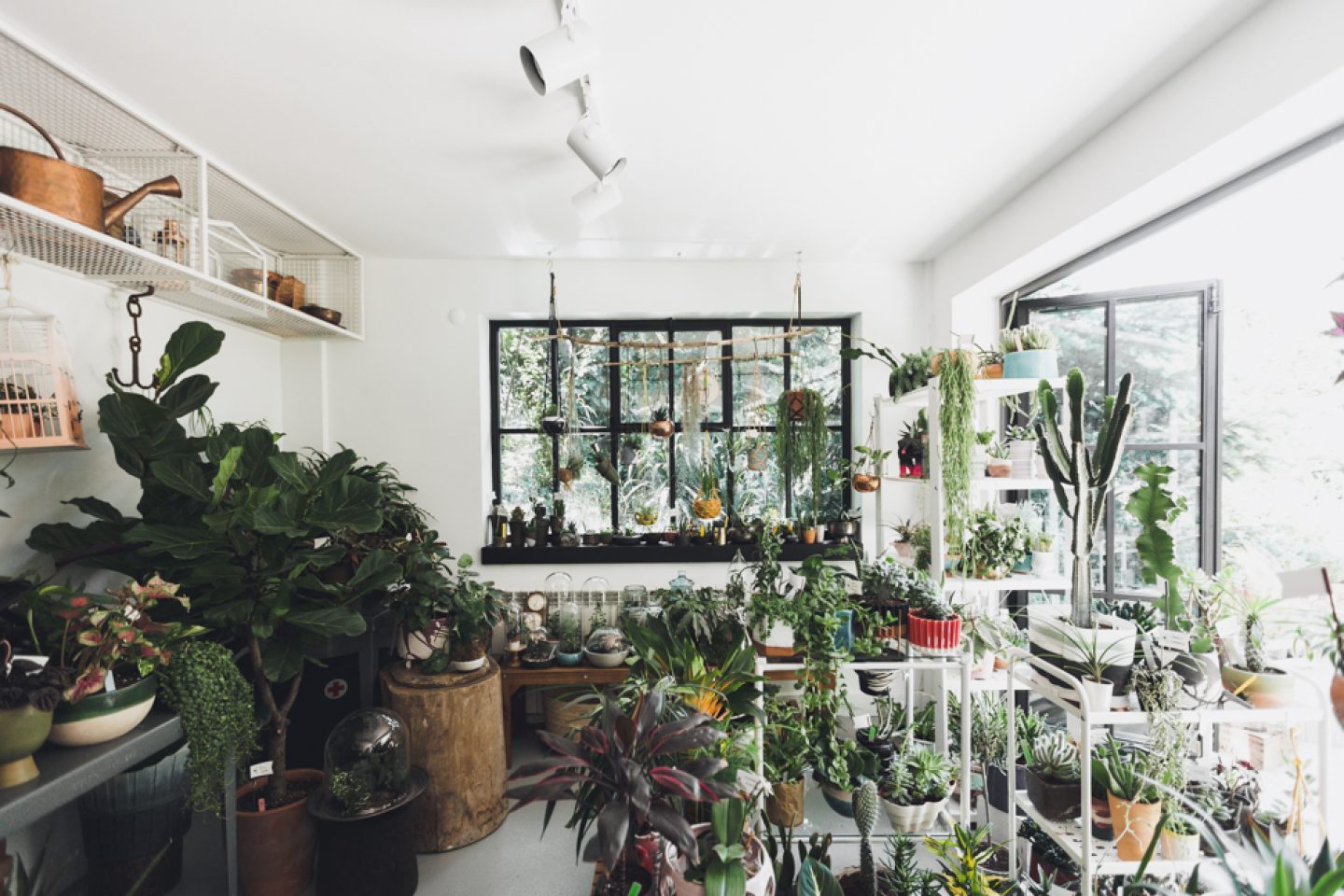 Enchanting Botanicals And Ceramic Pots At Labofem · Istanbul - IGNANT