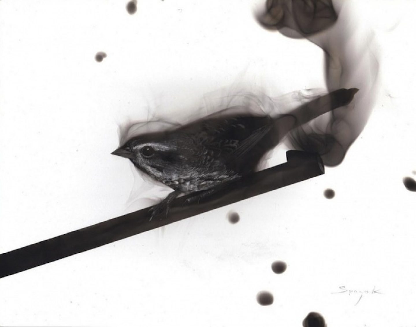 Ethereal Flame Paintings By Steven Spazuk - IGNANT