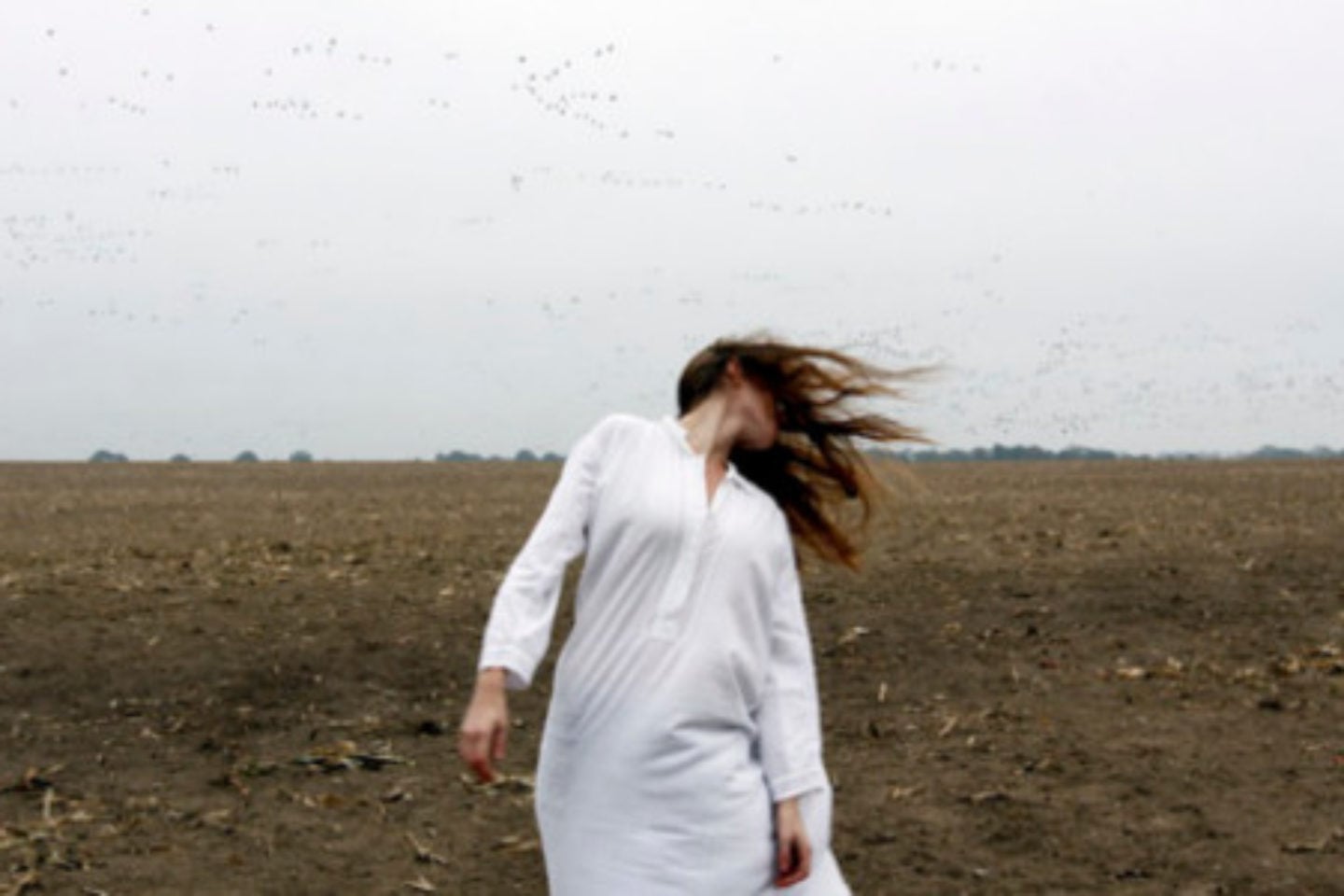 Mesmerizing Food Sculptures By Sam Kaplan - IGNANT