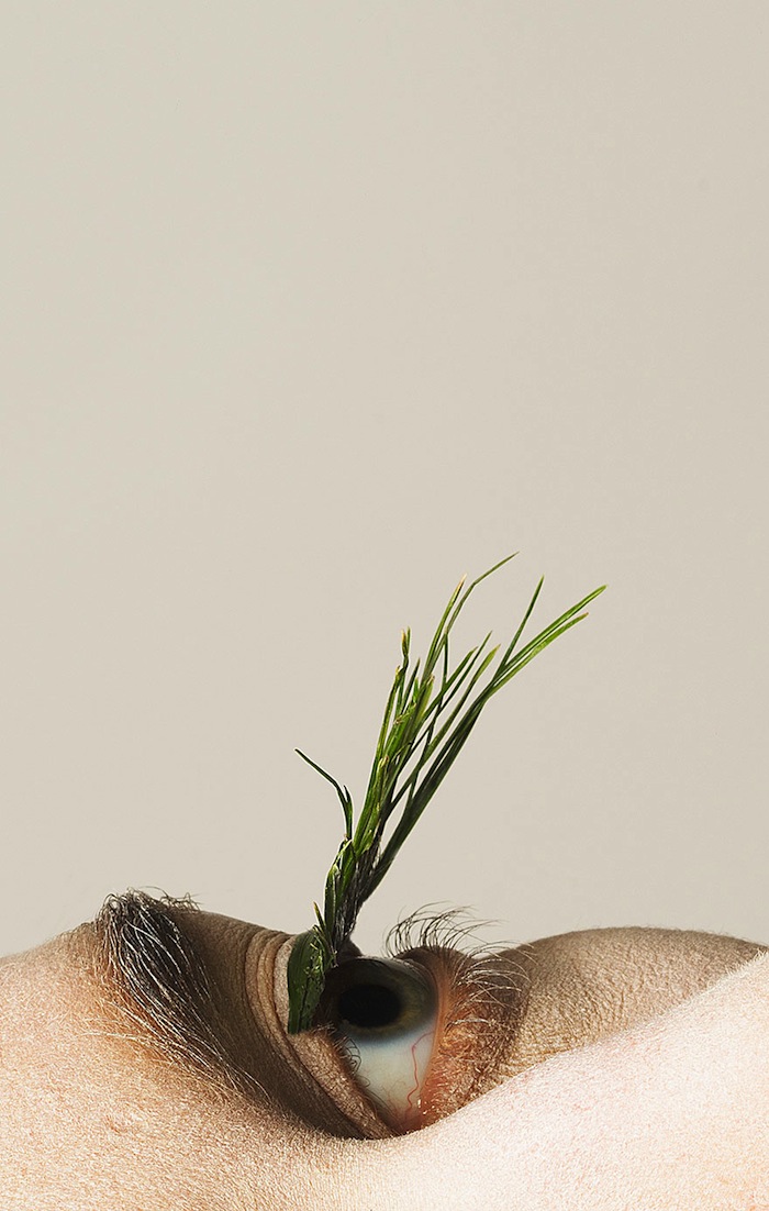 Eyelashes Made Of Eggs, Snow And Plants By Mary Graham - IGNANT