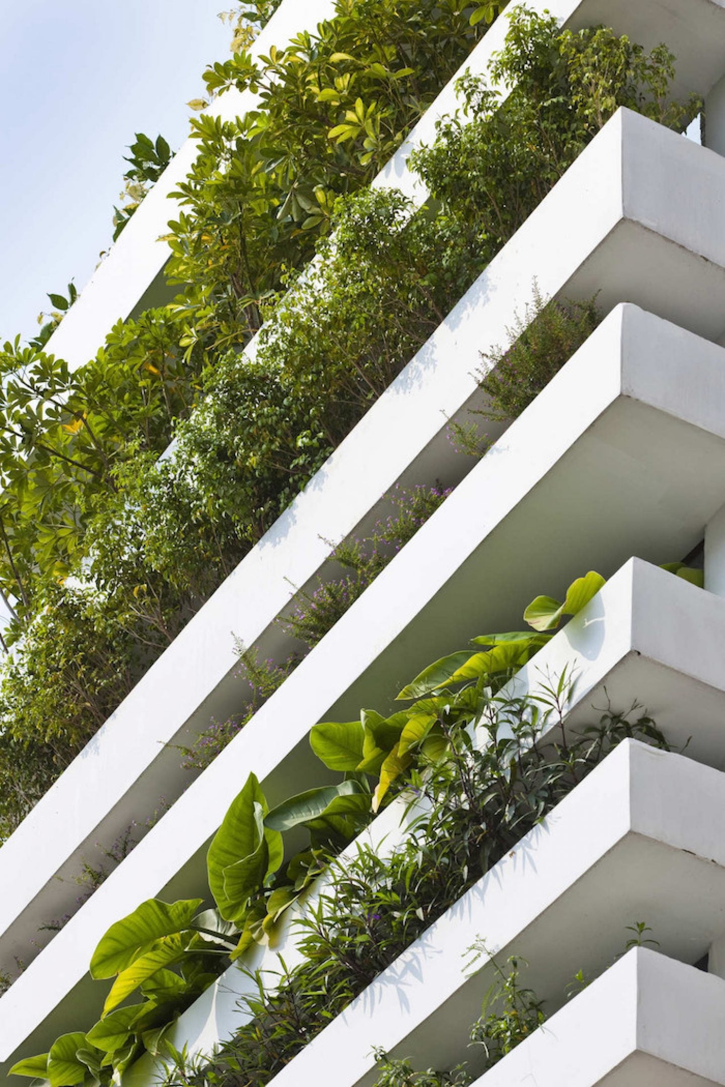 A Concrete House With A Vertical Garden In Vietnam - IGNANT