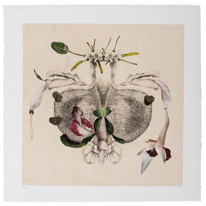 Botanical Illustrations With Body Parts By Marcela Cardenas - IGNANT