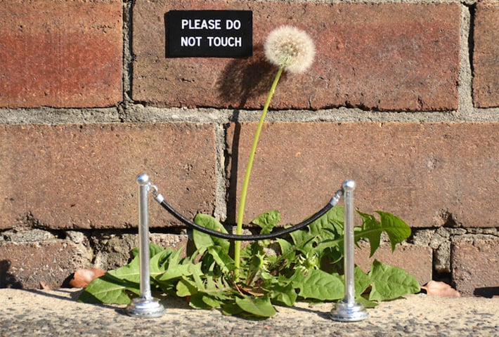 CanopyStair Is A Versatile Tree Staircase - IGNANT