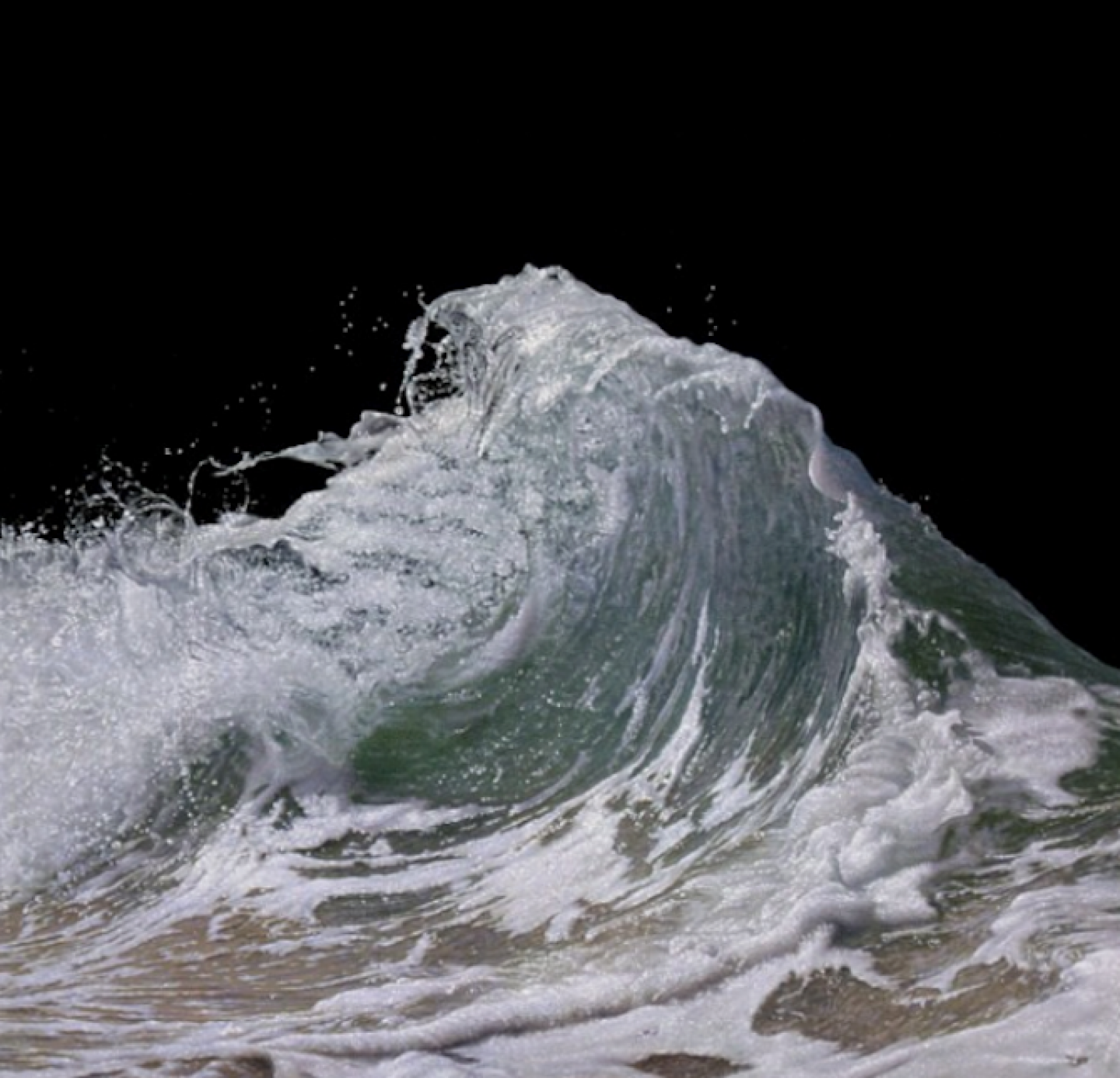 Hyperreal Paintings Of Nature By Joel Rea - IGNANT