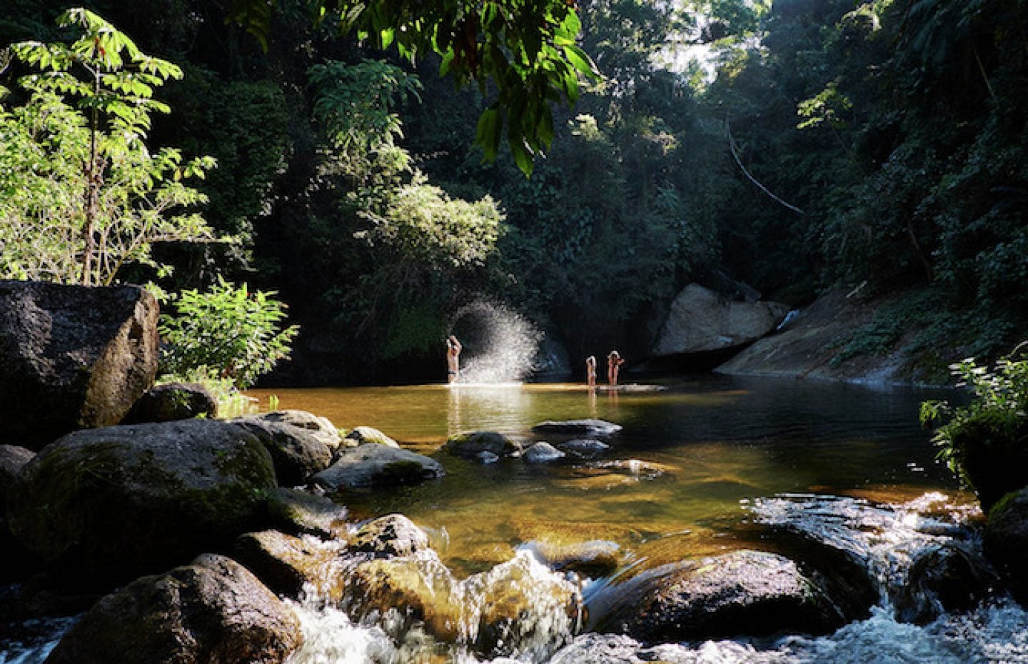 A Remote Residence In A Brazilian Forest By Atelier Marko Brajovic - IGNANT