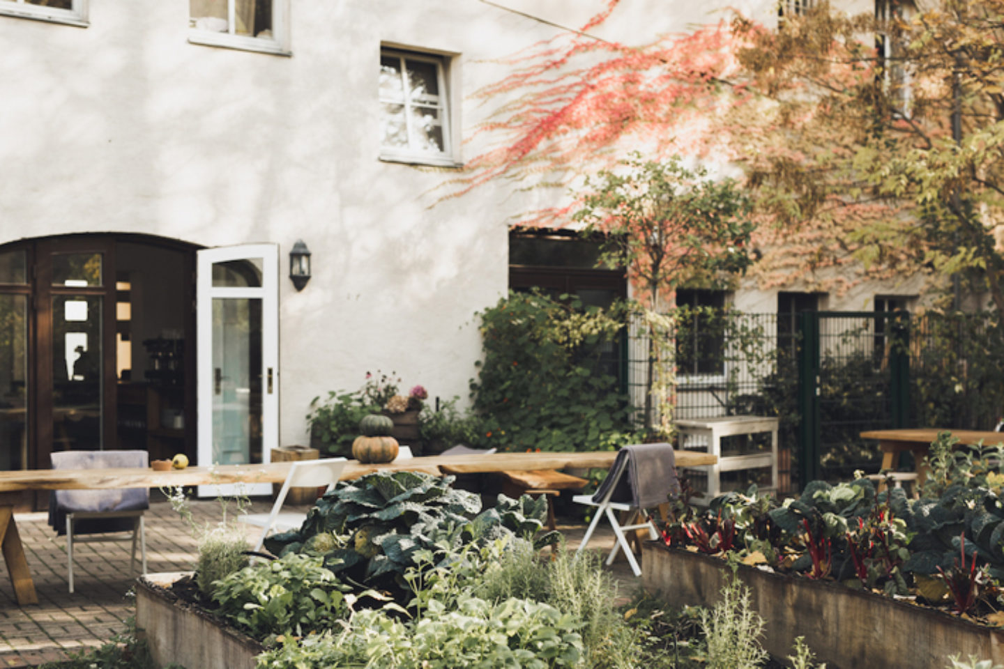 Surreal Body Portraits By Ángela Burón - IGNANT