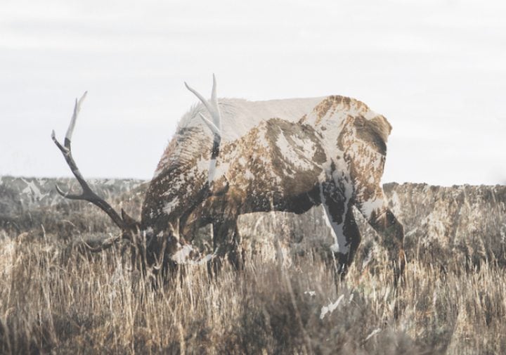 Dreamy Multiple Exposure Photography By Luke Gram - IGNANT