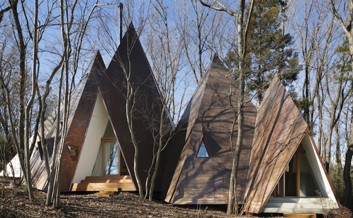 A Tipi-Shaped House In The Woods By NAP Architects - IGNANT