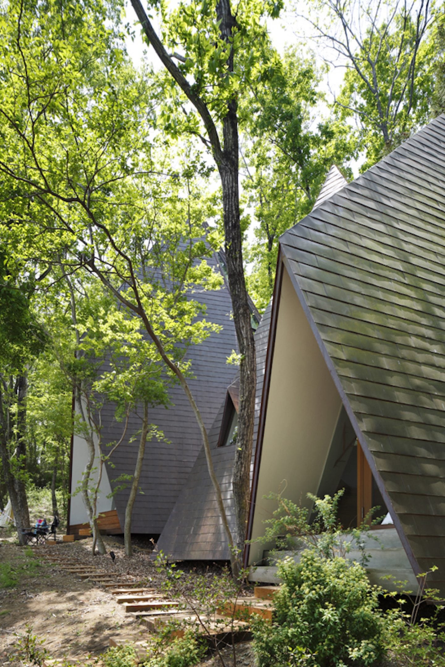 A Tipi-Shaped House In The Woods By NAP Architects - IGNANT