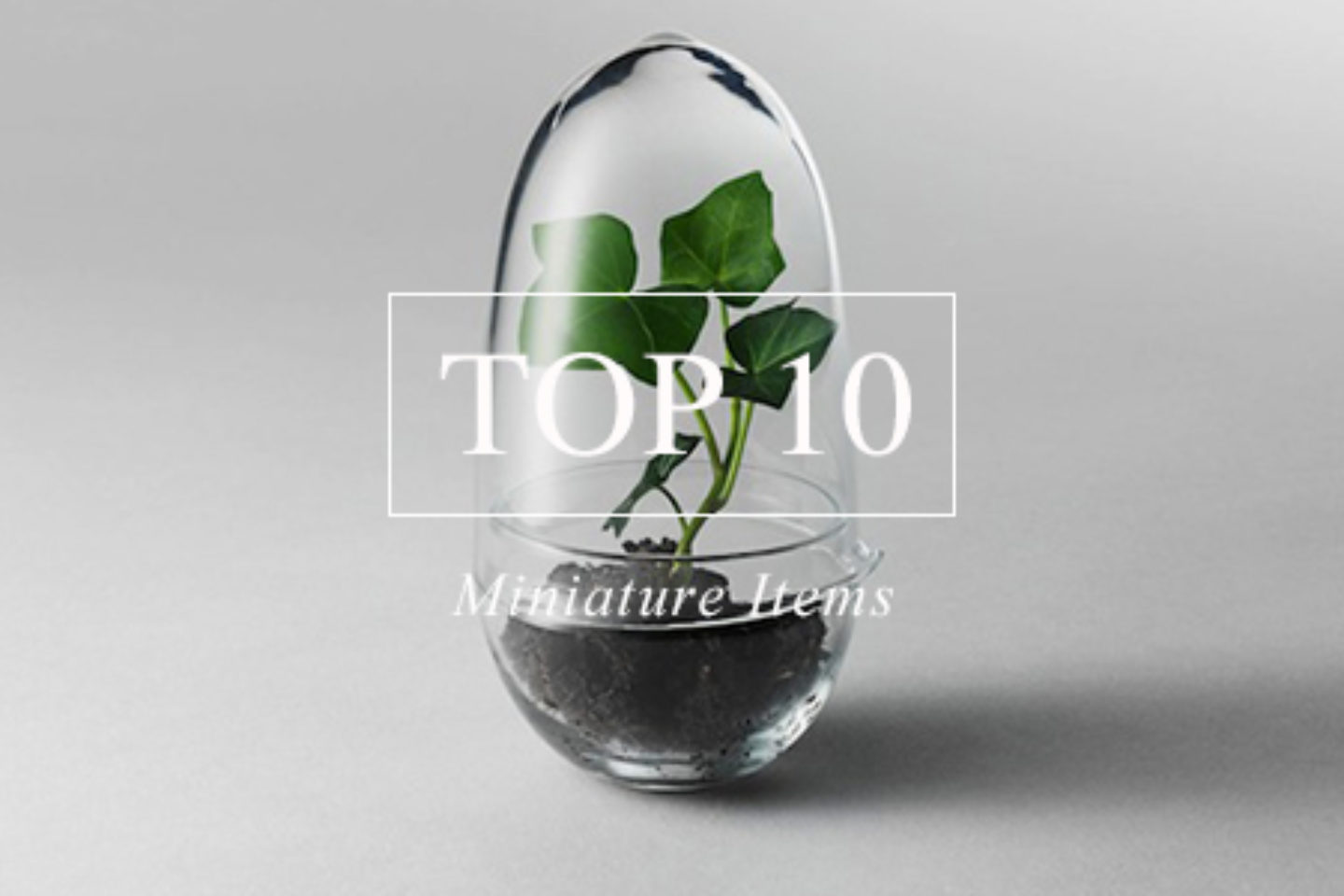 A Unique Glass Terrarium - IGNANT