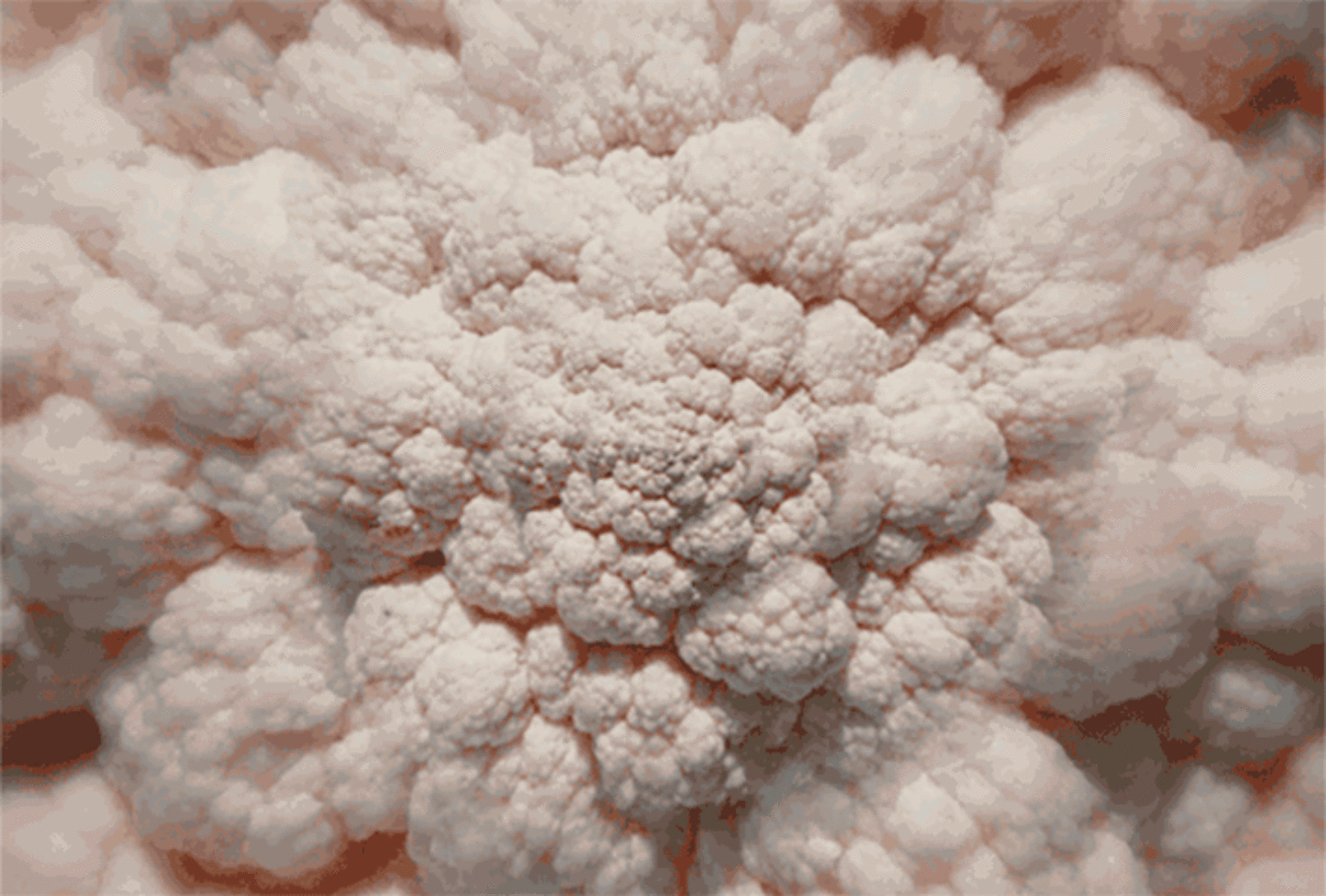 Mesmerizing GIFs Of Everyday Objects - IGNANT