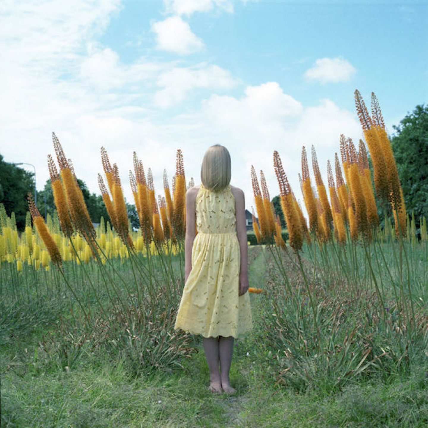 Otherworldly Portraits By Hellen Van Meene - IGNANT