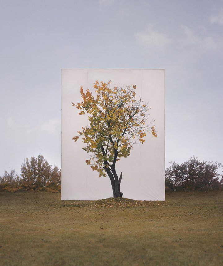 Nature Framed By Myoung Ho Lee - IGNANT