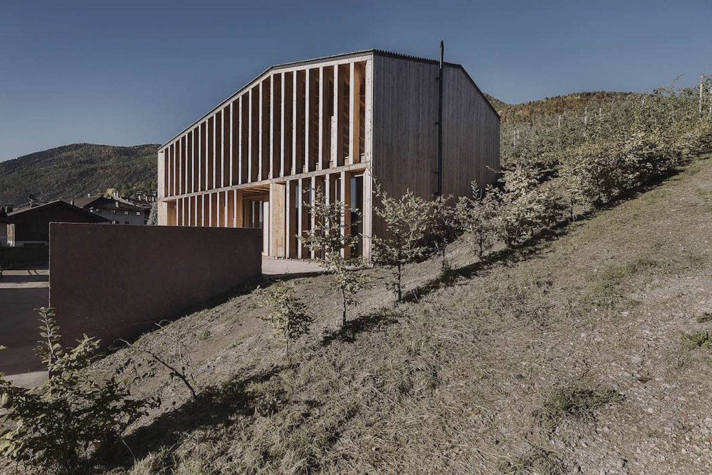 A Timber Community Center By Mirko Franzoso - IGNANT