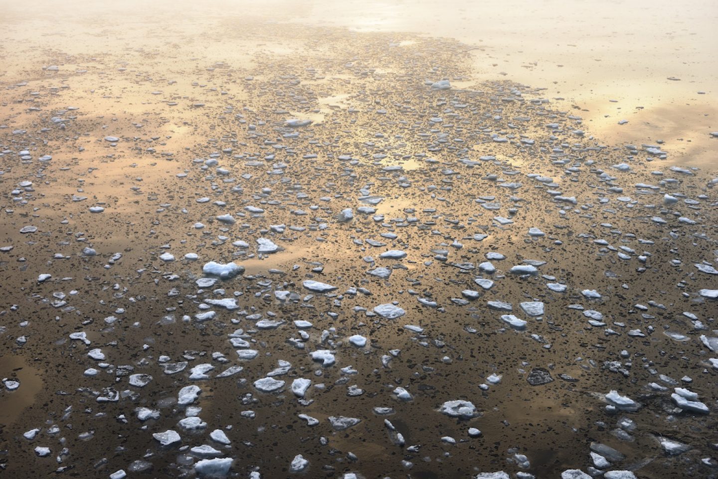 The Fragility Of Nature Captured By Daniel Beltrá - IGNANT