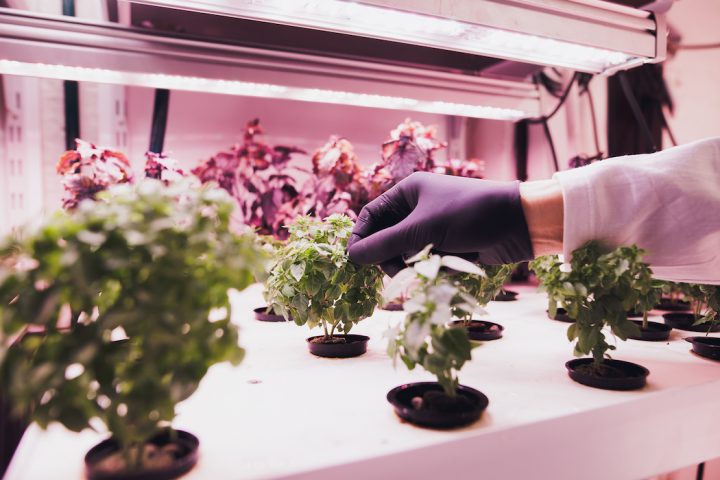 INFARM Indoor Farming · Berlin - IGNANT