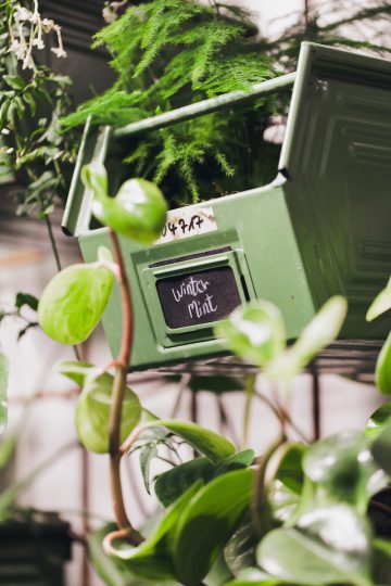 INFARM Indoor Farming · Berlin - IGNANT