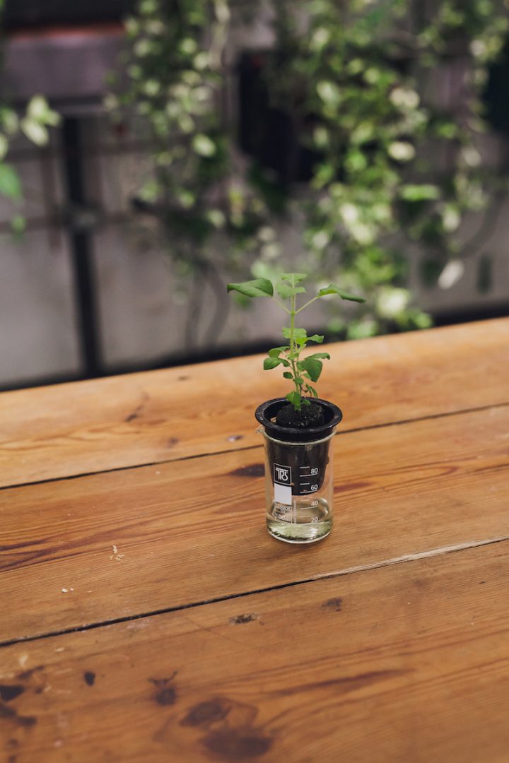 INFARM Indoor Farming · Berlin - IGNANT