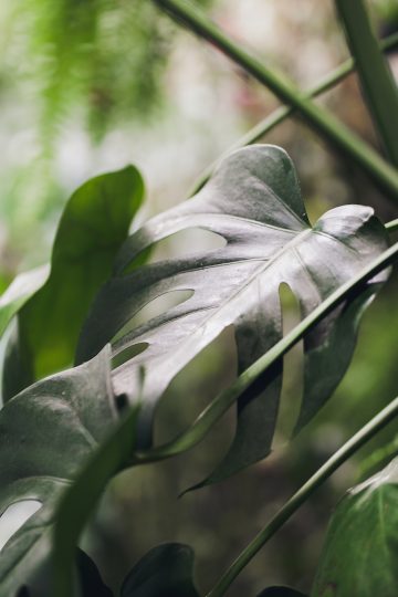 INFARM Indoor Farming · Berlin - IGNANT